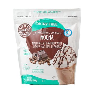 Big Train Mocha Blended Coffee Frappe Mix | Fortuna Enterprises