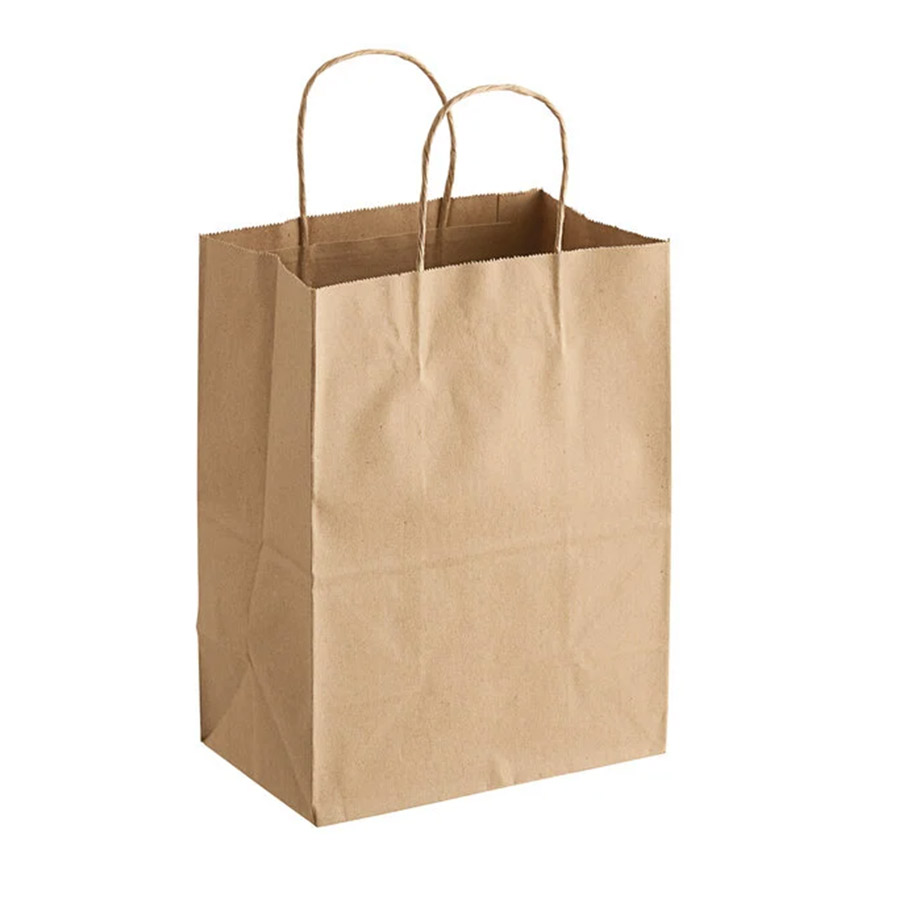 Kraft 8" x 4.75" x 10" Paper Shopping Bag with Twist Handle | Fortuna ...