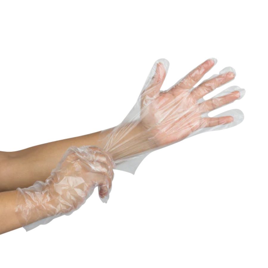 Karat Clear Large Poly Gloves | Fortuna Enterprises