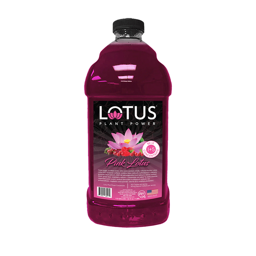 Pink Lotus Plant Energy Concentrate | Fortuna Enterprises